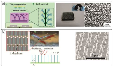 Bio Inspired Micro And Nanorobotics Driven By Magnetic Field Pmc