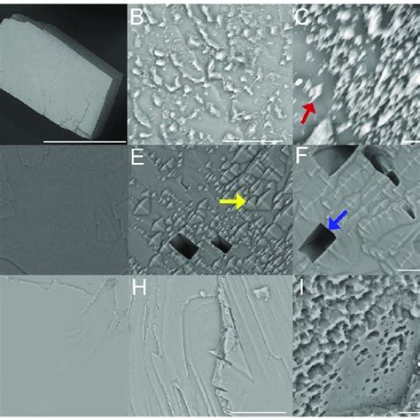 Pdf Principles Of Calcite Dissolution In Human And Artificial Otoconia