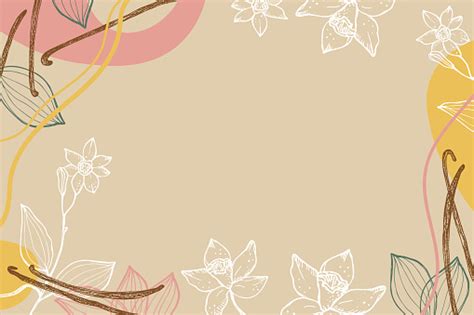 바닐라 라벨 템플릿 배경 텍스트 꽃과 막대기 바닐라 식물 벡터 일러스트 레이 션 포드 향기로운 향신료 상표를 위해 향미료 포장 카드 기치 손으로 그린 추상 디자인 가지 식물