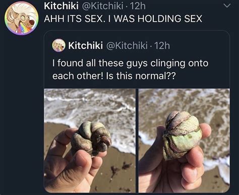 Sex Goofy Stupid Silly Hold On Degenerate Humor Tweeter Cry For