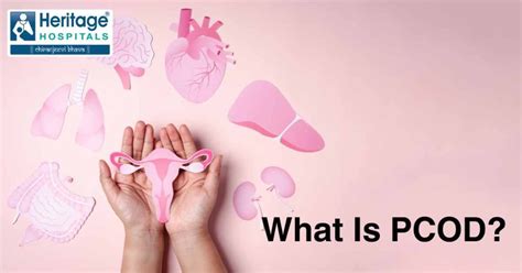 What Is Pcod Problem In Females Heritage Hospitals
