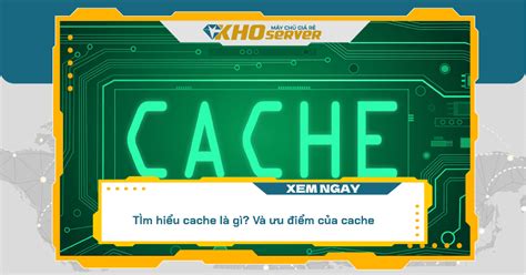T M Hi U Cache L G V U I M C A Cache