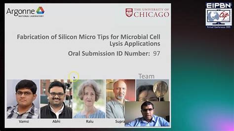 Fabrication Of Silicon Micro Tips For Microbial Cell Lysis Applications Underline