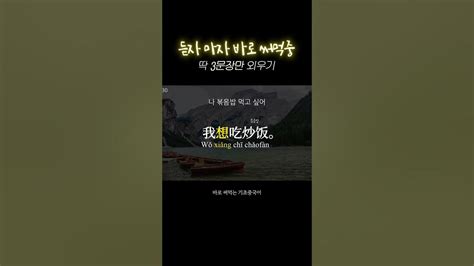 하루에 딱 3문장만 외워봐요🎇 바로 써먹는 기초 중국어 Youtube