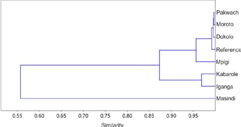 Dendrogram For The Classical Hierarchical Cluster Analysis Of A