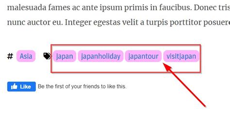How To Remove Comma Separator On Elementor Post Info Widget Wppagebuilders