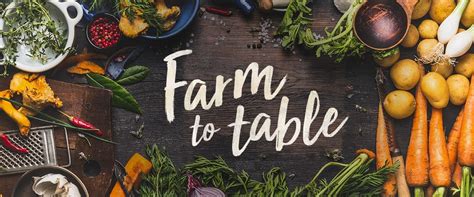 From Farm To Our Table How Food Is Prepared For Us And How It Gets