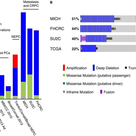 Copy Number Alteration Cna Is The Most Frequent Inactivation Download Scientific Diagram