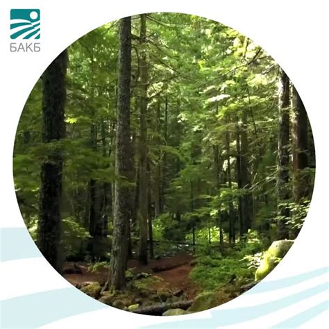 Zornitsa Simeonova On Linkedin Работата в офис прави за мен още по голяма притегателната сила