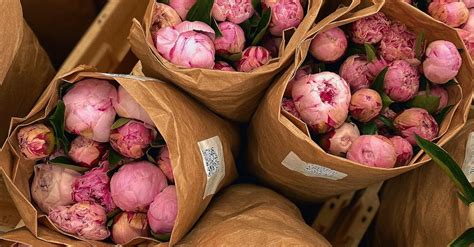 Безкоштовне стокове фото ботанічна композиція ботанічна краса букет букет квітів букети