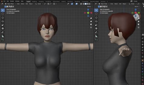 Low Poly Woman OpenGameArt Org Low Poly Woman OpenGameArt Org