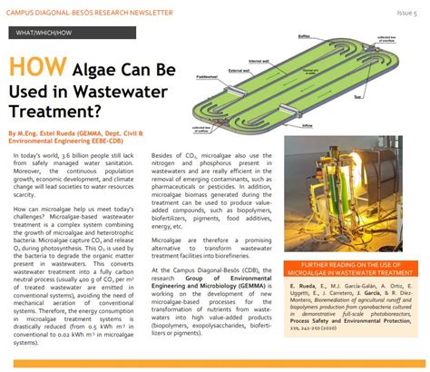 Group Of Environmental Engineering And Microbiology Gemma Upc On