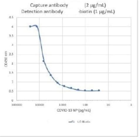 Sars Cov 2 Nucleocapsid Antibody 75g5a Novus Biologicals 0 05 Mg Unconjugated Antibodies