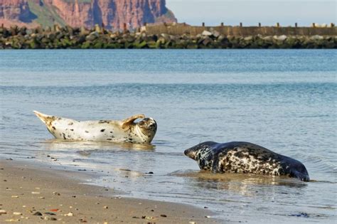 Emsp Nbsr Project On Linkedin 3rd Community Of Practice Workshop On