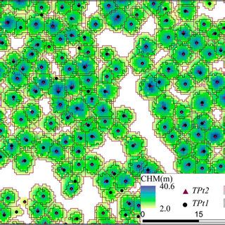 Distributions Of Tree Height Crown Area And Crown Volume At A Last Download Scientific