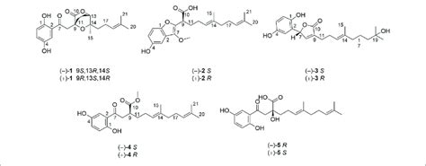 Structures Of 1 5 From Ganoderma Lucidum Download Scientific Diagram