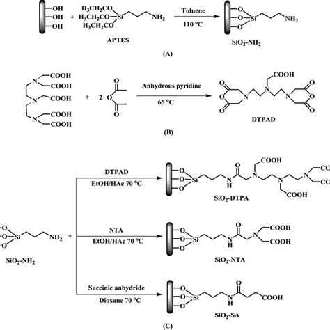A Schematic Illustration Of A Sio2 Nh2 B Dtpad C Polycarboxylic