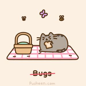 Little Dolls Room Pusheen Cat Pusheen Cute Cat 
