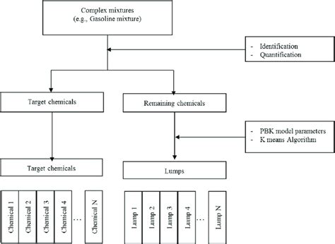 Flow Chart Depicting The Top Down Pbk Modelling Approach To Evaluate