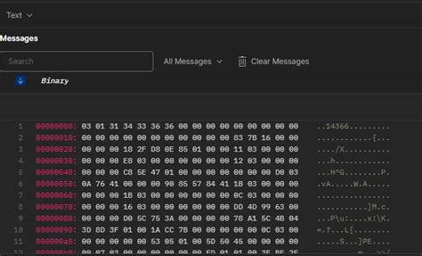 Websocket Binary Result Help Postman