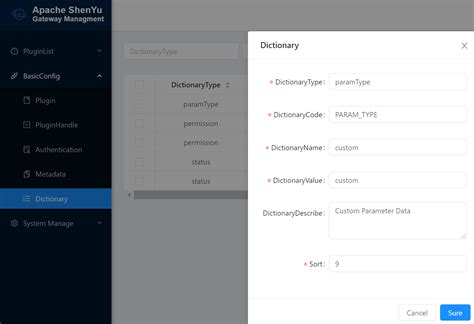 Custom Parameter Data Apache Shenyu