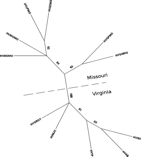 —upgma dendrogram based on nei s genetic distance matrix taken from