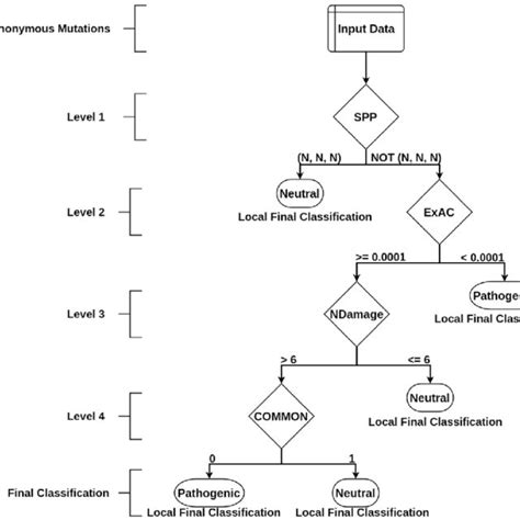 Decision Tree Obtained After Integration And Discretization Of Download Scientific Diagram