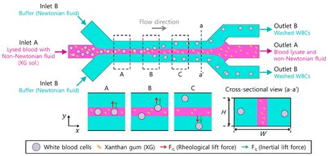 Continuous On Chip Cell Washing Using Viscoelastic Microfluidics