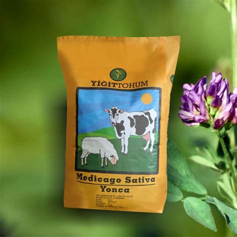 Eskişehir Yiğit Tohumculuk Yem Tohumları Kuş Yemi Çim Tohumları