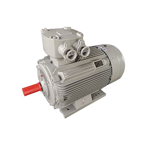 We Series Three Phase Asynchronous Motors Reliable Industrial