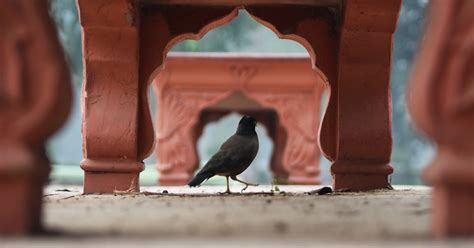 Cultural Stereotypes Ive Had To Unlearn Kiransardar