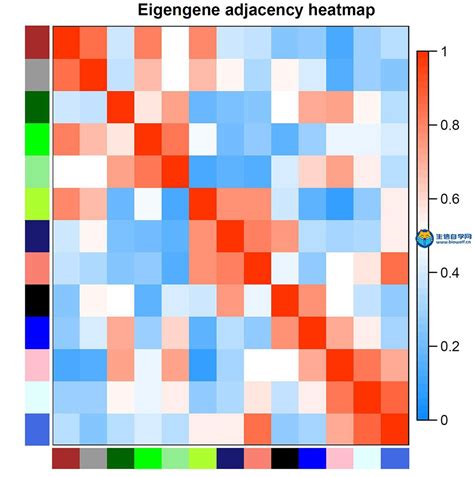 Wgcna加权基因共表达网络分析生信应用 生信自学网