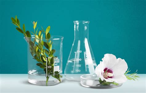 International Standard Cosmetic Chemical Processing Process Important