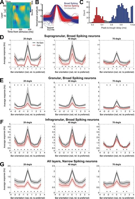 Higher Order Visual Areas Enhance Stimulus Responsiveness In Mouse