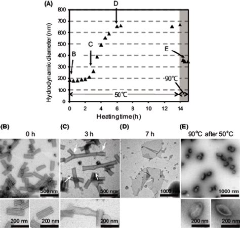 Tem Images And Electron Diffraction Patterns Of A The Planar Sheet