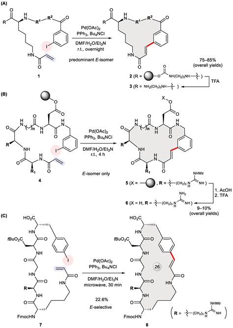 Heck Macrocyclization In Forging Non Natural Large Rings Including Macrocyclic Drugs