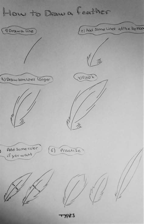 Feather Drawing Tutorial
