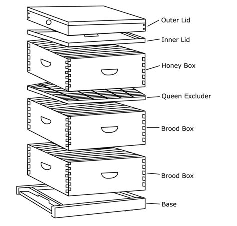 What Is A Bee Hive And Its Components Herlands Honey Bee Farm Posted On The Topic Linkedin