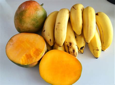 Stay Healthy 6 Particular Fruits That Dramatically Improve
