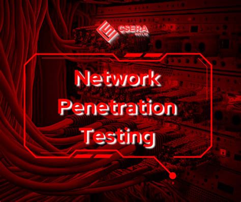 Provide Networking Penetration Testing Services By Cseras Fiverr