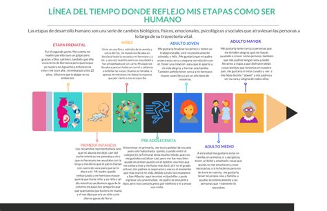 School Project Timeline Assignment Infographic In 2025 School Projects Infographic School