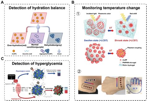 Applications Of Aunps In Wearable Colorimetric Sensors A The Working Download Scientific