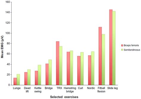 Muscle And Intensity Based Hamstring Exercise Classification In Elite