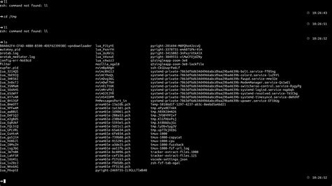 Bug No Colors When Trying To Use Oh My Zsh Theme Issue Zdharma Continuum Zinit GitHub