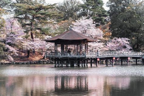 Nara Park In Spring Japanese Park Historical Japan Picturesque