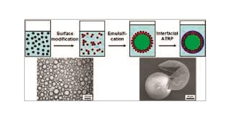 Pickering Emulsion Templated Interfacial Atom Transfer Radical Polymerization For