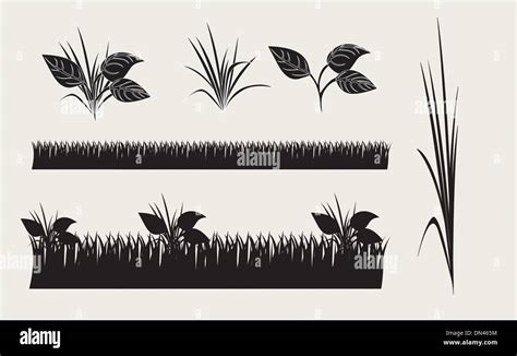 Grass Front View Stock Vector Images Alamy
