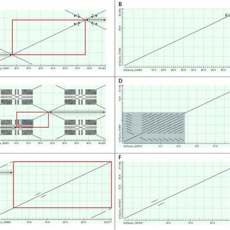 Dot Plot Examples Before Left And After Right Contig Trimming Download Scientific Diagram