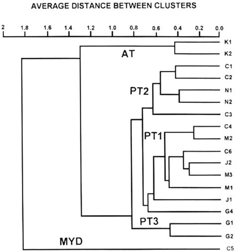 cluster analysis dendrogram upgma of 18 coconut download scientific