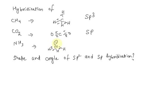 Solved Which One Of The Following Statements About Orbital Hybridization Is Incorrect M A The